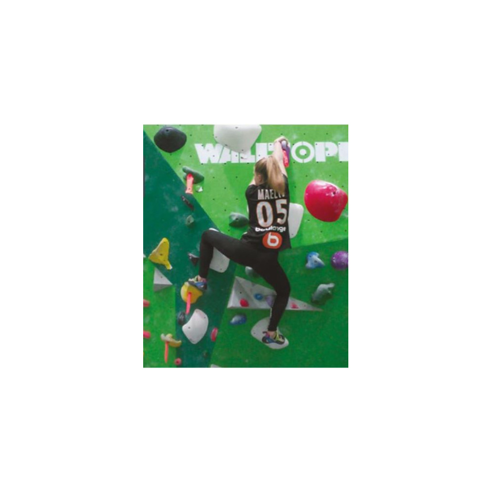 Climbing Flags - lot de 6