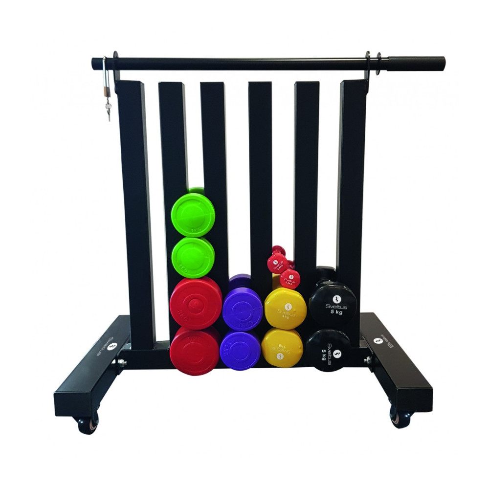 Rack mobile rangement haltères